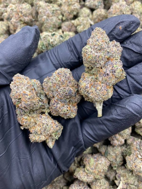 Super Lemon Cherry Strain - Cali Exotic Store